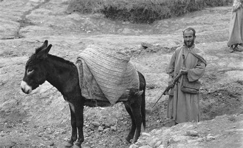 November Is Mizrahiheritagemonth A Time To Celebrate The Rich