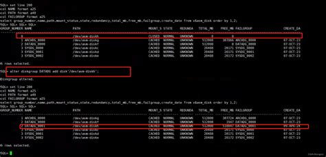Asm磁盘组扩容（虚拟化udev、磁盘组外部冗余）asm扩容 Csdn博客