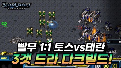 빨무 1 1 프로토스vs테란 3게이트 드라군 다크빌드 Youtube