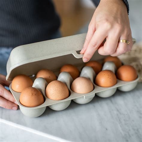 Reusable Egg Containers At Declan Goodisson Blog