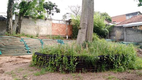 Tipos de Vegetação para Muro de Contenção Ecotelhado