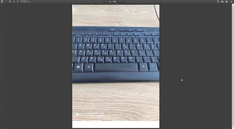 Rotation · Issue 285 · Stephanrauhngx Extended Pdf Viewer · Github