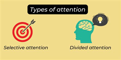 7 Key Concepts About Attention Which You Probably Didnt Know Habitstrong