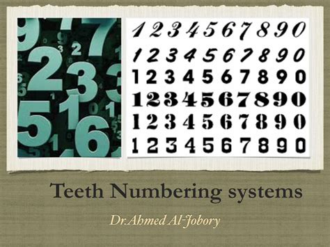 PDF Tee Th Numbering Systems Cden Tu Edu Iqcden Tu Edu Iq Images