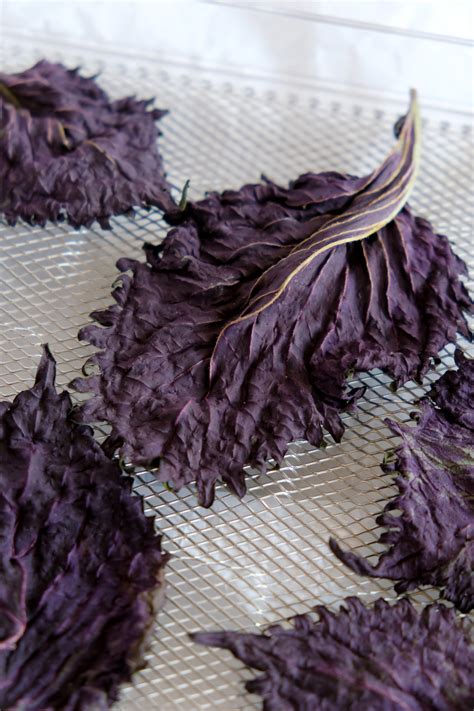Shiso Furikake — Cooking Like A Fox