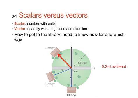 Solution Vector In Physics Full Explain Notes Pdf Studypool