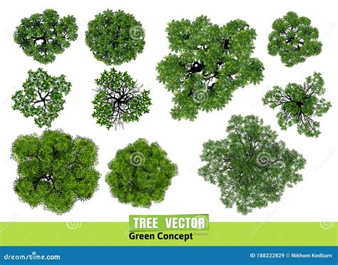 Trees Top View For Landscape Vector Illustration Stock Vector