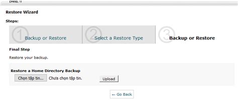 H Ng D N Sao L U Kh I Ph C D Li U Hosting Cpanel Vdata