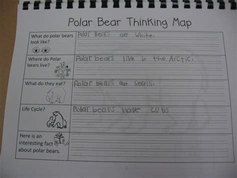 Polar Bear Thinking Map For Artic Animal Journal