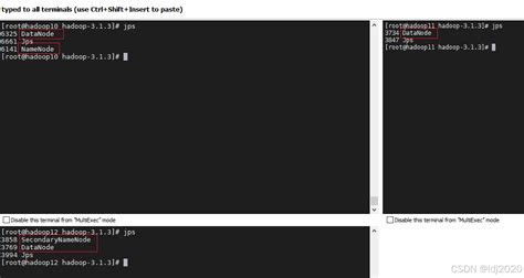Hadoop集群搭建打开hadoop Csdn博客