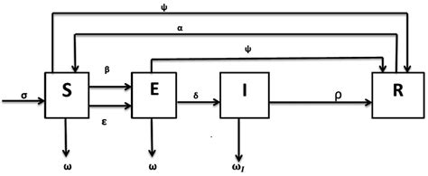 Compartmental Seir Model Of Ebola With Vaccination Download