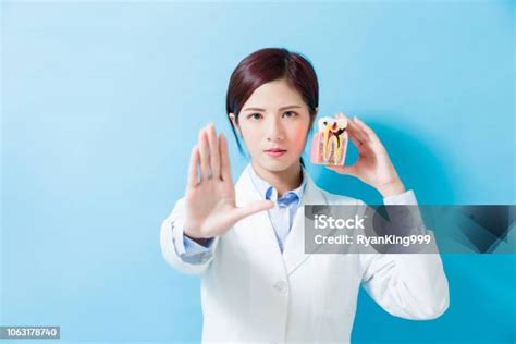 치과 충 치 치아 모델을가지고 가리키기에 대한 스톡 사진 및 기타 이미지 가리키기 거절 거절하기 Istock