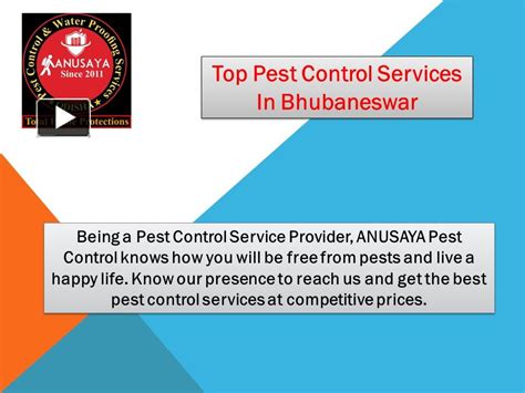 Ppt Pest Control Services In Bhubaneswar Anusaya Pest Control