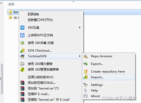 gnu开发工具——svn简介 svn客户端有哪些 csdn博客