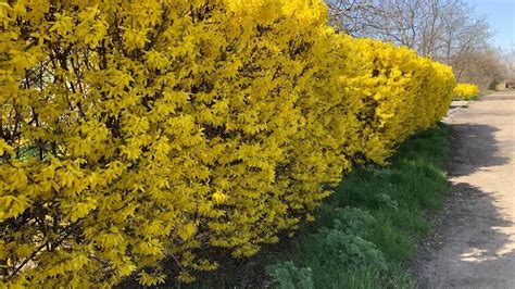 18042023 г Краматорск УТРО ОБСТАНОВКА СНОВА БЫЛО ГРОМКО У СОСЕДЕЙ
