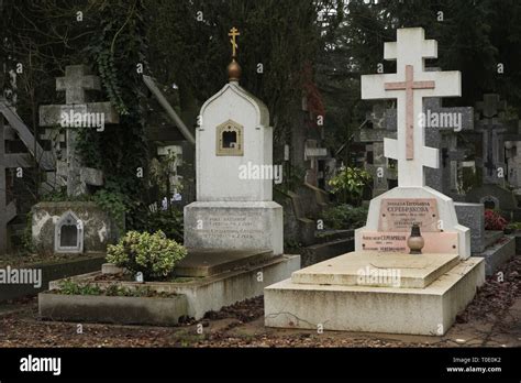 Alexander serebriakov hi-res stock photography and images - Alamy