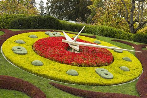El Macizo De Flores Del Reloj Estabished En Kiev Foto De Archivo