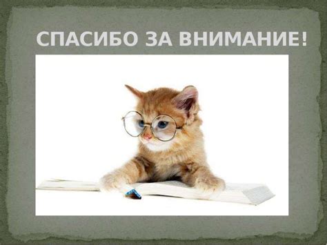 Картинка «Спасибо за внимание для презентаций 140 фото 🔥 Прикольные картинки и юмор Мемы