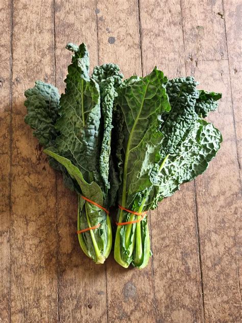 Tuscan Kale Bob And Jims General Store