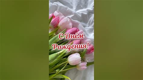 С Днём Рождения музыкальнаяоткрытка поздравление Youtubeshorts деньрождения сднемрождения