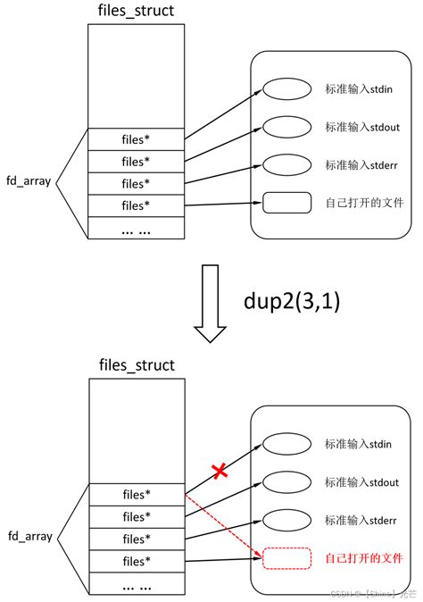 Linux系统编程：文件描述符和重定向通过文件描述符找文件 Csdn博客