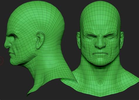 愤怒的人头 3D模型 9 ztl obj ma max Free3D