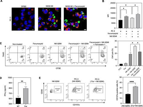 Ferumoxytol And Nk Cells Synergistically Induce Ferroptosis In Pc3