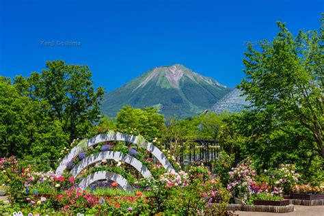 とっとり花回廊名峰大山を背景にした広大なフラワーパーク ピクスポット 絶景風景写真撮影スポット撮影ガイドカメラの使い方