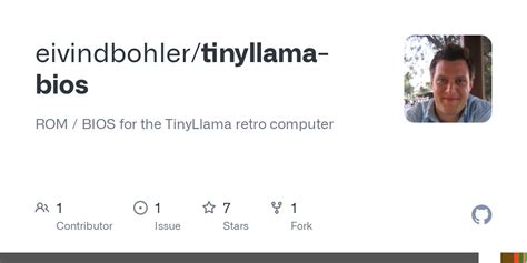 Github Eivindbohlertinyllama Bios Rom Bios For The Tinyllama