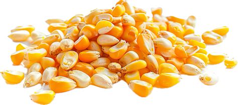 Pile Of Dried Corn Kernels Close Up 46337654 Png