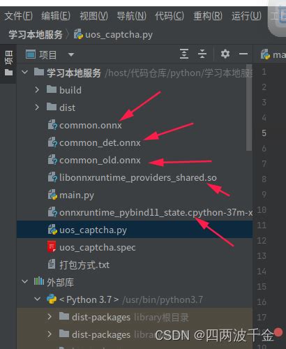 ddddocr打包可执行文件uos系统 ddddocr下common onnx文件和common old onnx是什么 CSDN博客