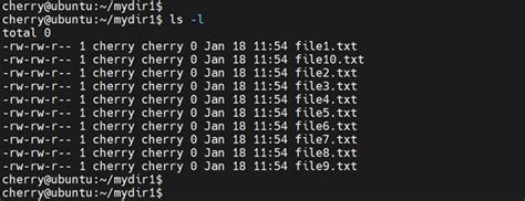 How To Use Rsync On Linux To Synchronize Local And Remote Directories