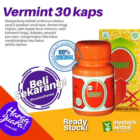 Jual Vermint Vermin Obat Penyakit Tifus Tipes Typus 30 Kapsul