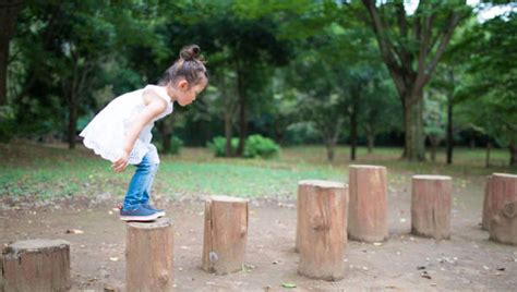 Obstacle Course Challenge