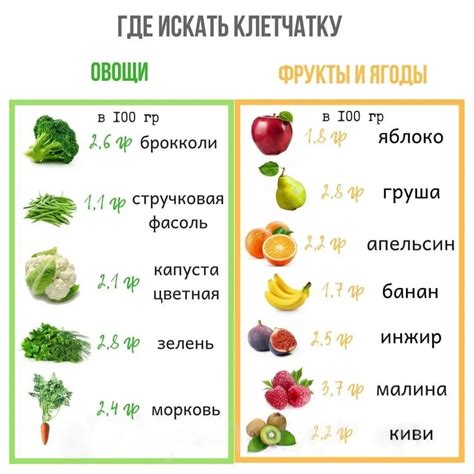 Что входит в список клетчатки