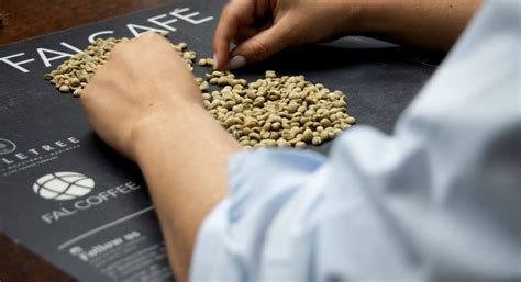 Sopesp Sustentabilidade pode garantir alta na exportação de café