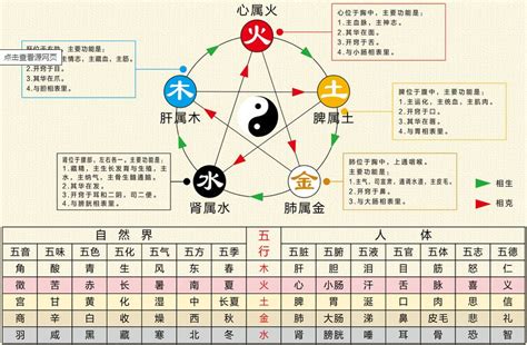 科学网五行学说为何不能退出中医理论体系 聂广的博文