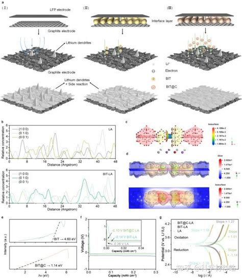 李丽波教授， Advanced Functional Materials观点：多加一层，让锂离子摆脱混乱，延长固态全电池的寿命 知乎