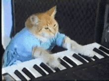 Keyboard Cat Meme S Tenor