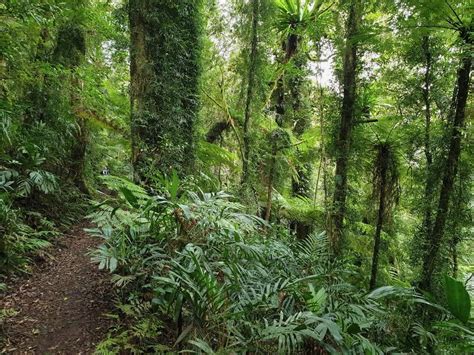 Events Dw M T4 F4 Numinbah To Binna Burra