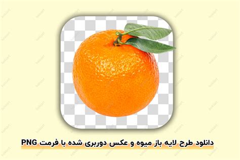 دانلود تصویر پرتقال دوربری شده و بدون پس زمینه با فرمت پی ان جی Png