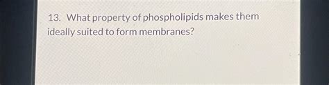 Solved What Property Of Phospholipids Makes Them Ideally