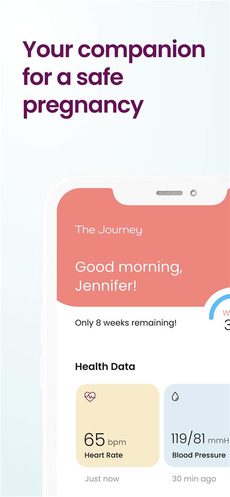 The Journey Pregnancy Apk For Android Download