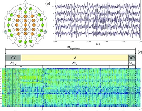 A The Scheme Of The 10 10 Eeg Electrode Arrangement B Fragments
