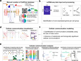 细胞互作单细胞配受体库 Public Library of Bioinformatics