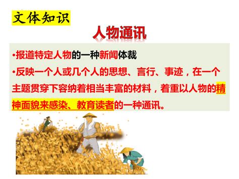 4 1《喜看稻菽千重浪——记首届国家最高科技奖获得者》课件共28张ppt2022 2023学年统编版高中语文必修上册 21世纪教育网
