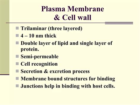 Anatomy Of Protozoan Cell Ppt