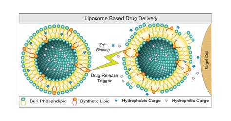 Zinc Triggered Release Of Encapsulated Cargo From Liposomes Via A Synthetic Lipid Switch