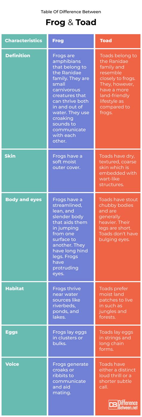 Frog And Toad Difference Between Frog Vs Toad