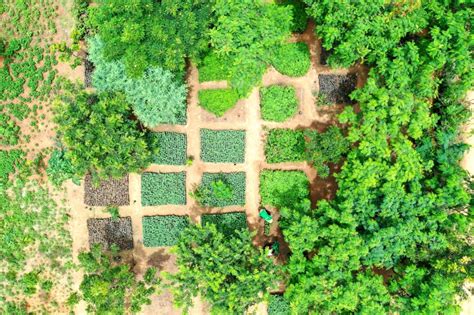 联合国可持续发展集团 齐心协力，共抗干旱：非洲战胜旱灾、防治荒漠化的八种方法